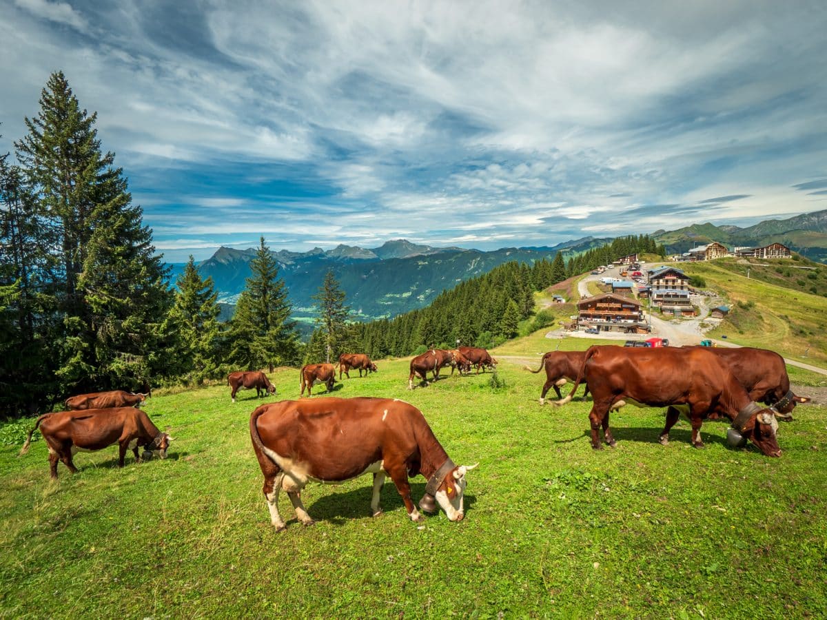 Ouverture remontées mécaniques l'été sur le Grand Massif Samoëns ...